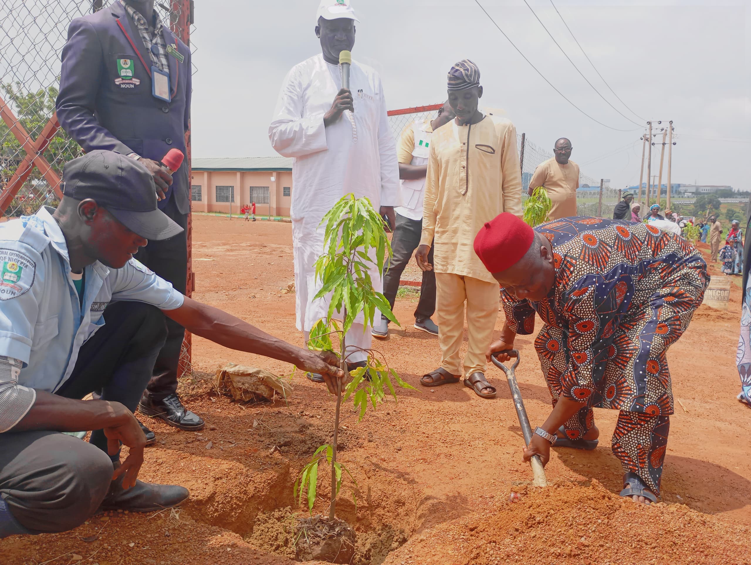 Tree Planting Exercise: NOUN Staff School, CHRD Embrace Environmental ...